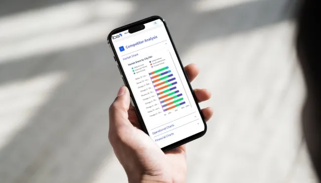 IBA Demonstrates Powerful New Airline Risk Analytics Tool With In-Depth ...