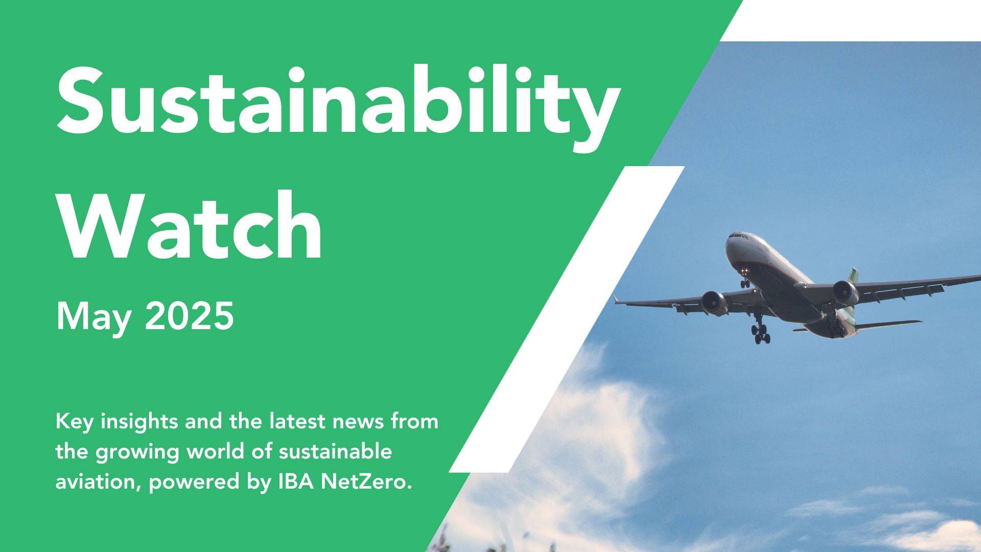 What’s the Cost of Aviation’s Sustainability Drive in 2025? | IBA Group