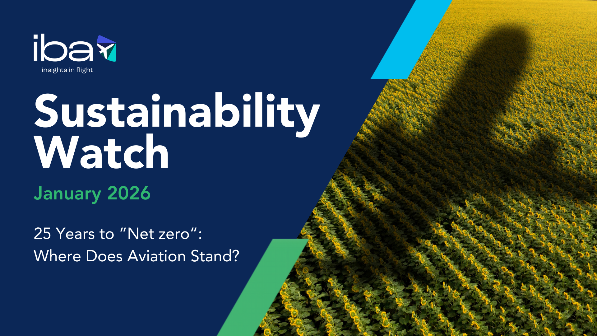 IBA's Sustainability Watch: January 2026 | IBA Group